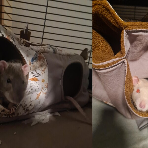 Corner House for Rats, Sugar Gliders, Ferrets, Corner Hammock, Corner ...