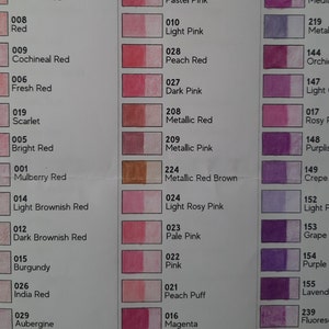 Caran D'ache Luminance Fillable Color Chart 100 Color - Etsy
