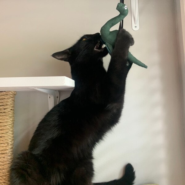 Loch Ness Monster Catnip Cat Toy - Etsy