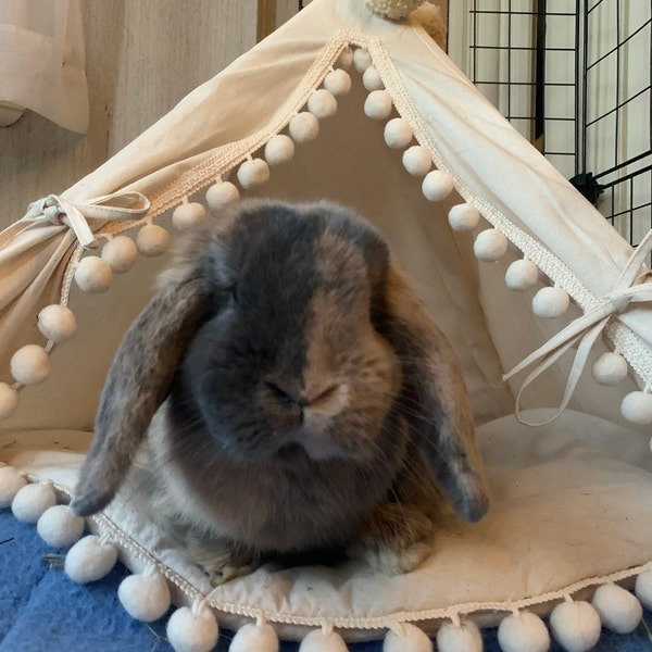 Rabbit Bed, Bunny Bed, Rabbit House, Bunny Teepee, Pet Teepee, Guinea ...