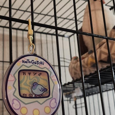 Hatogotchi Shaker Charm 3 Acrylic Front Side Epoxy Pigeon Keychain Bag ...