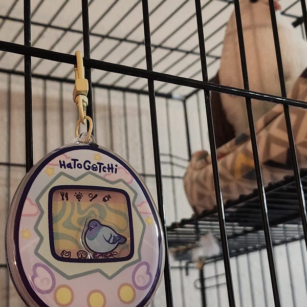 Hatogotchi Shaker Charm | 3" Acrylic Front Side Epoxy | Pigeon Keychain ...