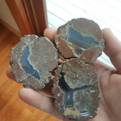 ROCKS in a Box Mystery Assortment of Stones From Montana - Etsy