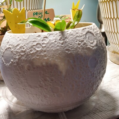 Moon Planter Pot - Etsy