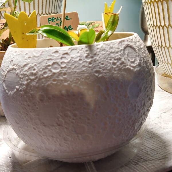 Moon Planter Pot - Etsy