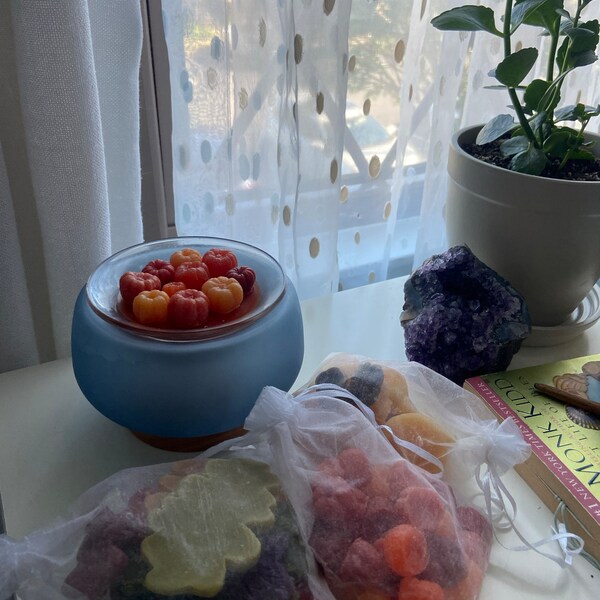 Fall Wax Melt Set - Soy Wax Melt Bundle - Fall Colors - Pumpkins and ...