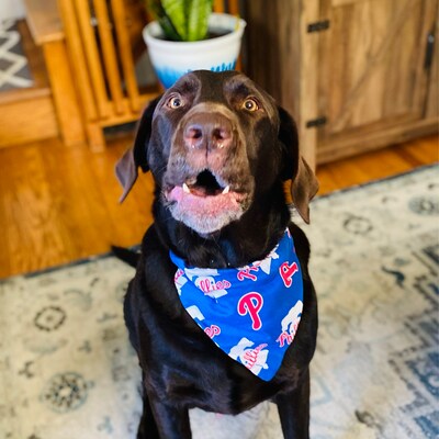 Rare Emma Wiggles Life is Better in A Tutu Single Cotton Fabric Panel ...