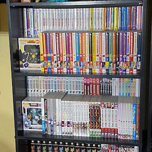 Shelf Riser for Displaying Two Rows of Books on a Single Shelf ...