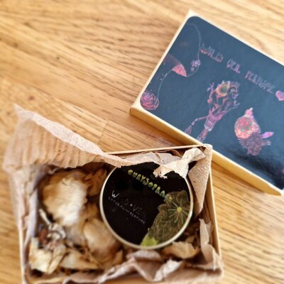 Hecate. Natural Perfume. Heady, Powerful Botanical Fragrance With ...