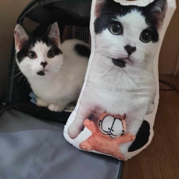 Custom Cat-shaped Throw Pillow, Personalized Cat Cushion, Custom Pet ...