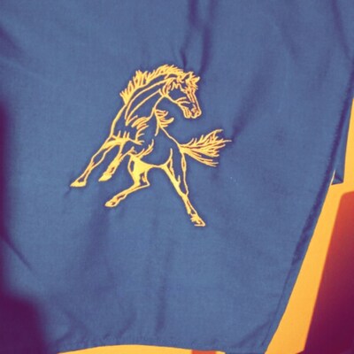 Barrel Racing Horse Machine Embroidery Design Embroidery - Etsy