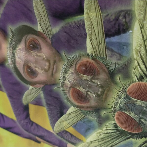 ANIMORPHS 29: THE SICKNESS Art Print, Signed and Numbered by the Artist ...