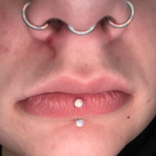 Cute Little Bee Nose Ring 16G Nasal Septum Jewelry Nasal Septum Clicker ...