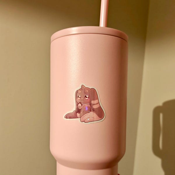 Honkai Star Rail Waterproof Vinyl Stickers - Caelus, Stelle, March 7th ...