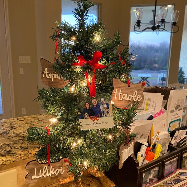 The Cat is Inside or Outside Reminder Sign - Cat In/out Wooden Door ...