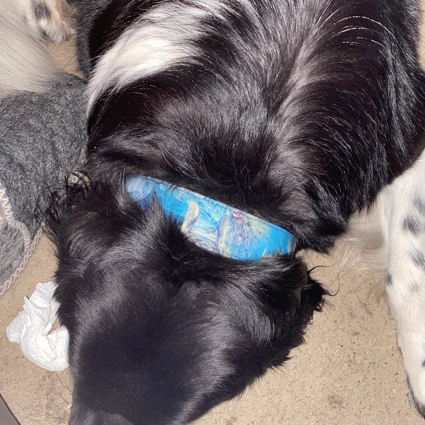 Military Camo Dog Collar - Etsy