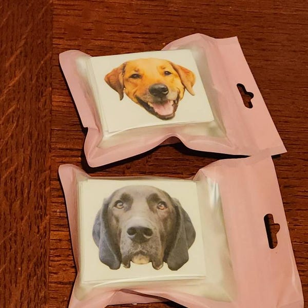 Mean Girls Lip Balm/ Chapstick/ Lip Gloss/ Mean Girls Theme/ That is so ...