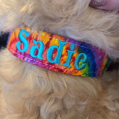 Skull Cat Collars Nautical Cat Collar Skull Cat Harness Pirate Cat ...