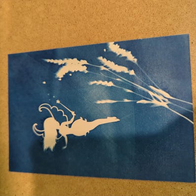 DIY Solar Printing Kit , Craft Kit , Cyanotype , Kit , Solar Printing ...