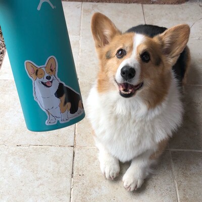 Tricolor Corgi Sticker, Smiling Corgi, Corgi Gifts, Corgi Mom, Cute ...