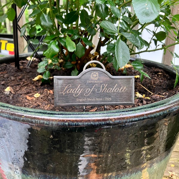 Custom New Employee Welcome Swag Kit Branded Gift Team Gift Employee ...