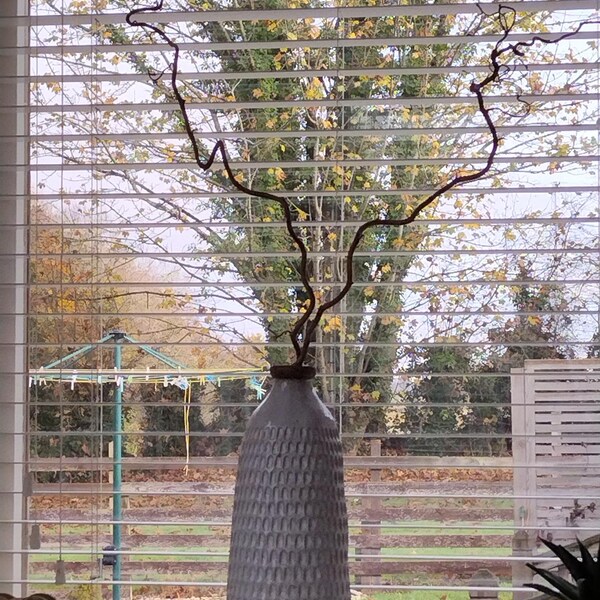 Twisted Willow Branches Tall Curly Twigs for Vase Natural Dried Stems ...