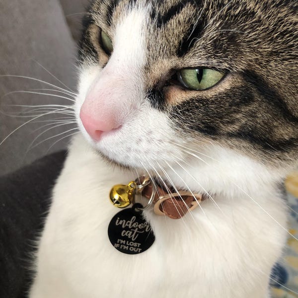 Personalized Cat Collar With Name Tag, Leather Cat Collar With Bell ...