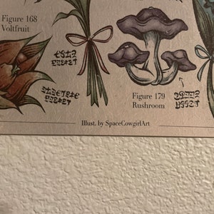 Hyrule Compendium Breath of the Wild Tears of the Kingdom Botanical ...