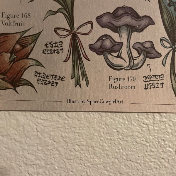 Hyrule Compendium Breath of the Wild Tears of the Kingdom Botanical ...