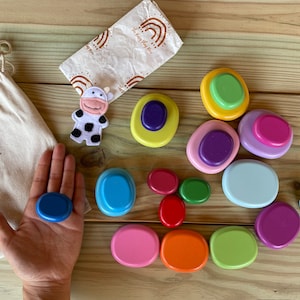 Rainbow Acorn Sorting Set montessori Hand Painted - Etsy