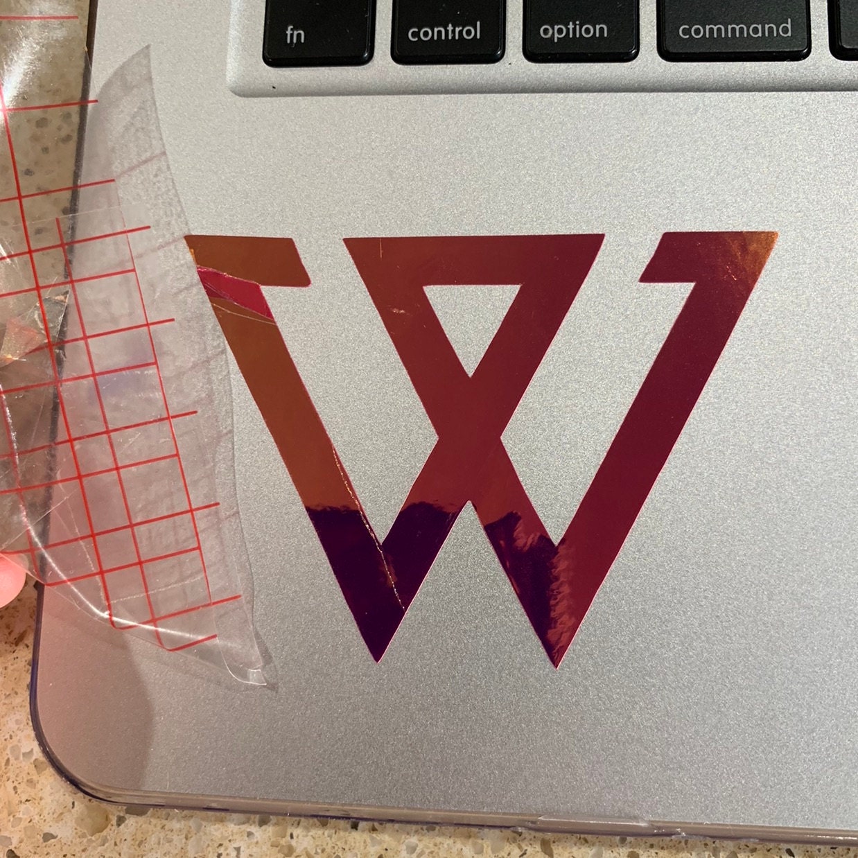 Winner Logo Decal