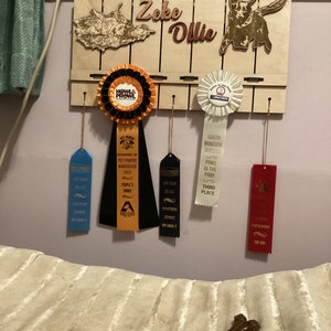 Set of 12 Paw Print Snowflakes, Handmade Snowflake Ornament, Wood Pet ...