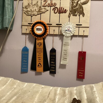 Wood Wall Decor, Camping Signs, Camping Decor, R-pod Forest River ...