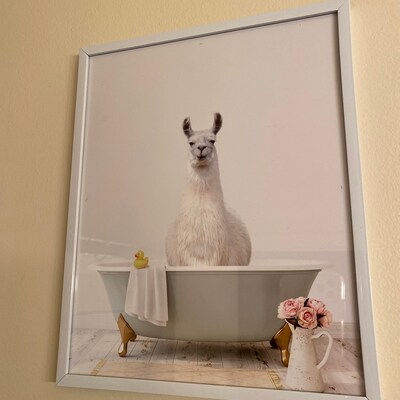 Llama in a Vintage Bathtub, Cottage Rose Bath Style, Llama in Tub ...