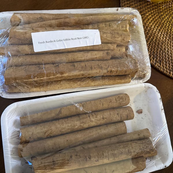 Edible Malanga Coco Yam Yautia Big Taro Root for Planting or Eating ...