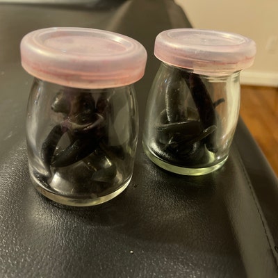 Larp Safe Rubber Leeches, Larp Medic, 5 Pack, Leach Healer, Plague ...