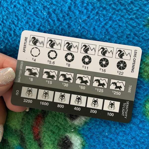 Dslr/mirrorless Photography "cheat Sheet" Credit Card Size Photo ...