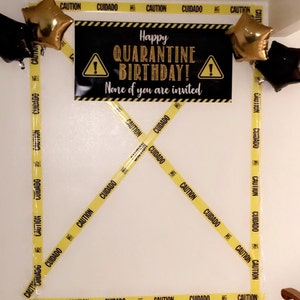 Quarantine First Birthday Banner Quarantine birthday sign | Etsy