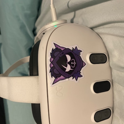 2 Raven Team Leader Vinyl Sticker - Etsy