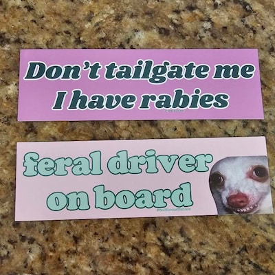 Im Just a Girl Bumper Sticker AND Magnet Funny Meme Sticker 8.7'' X 2.7 ...