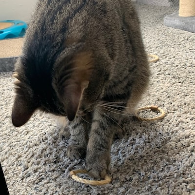 Twist Tie Toy, Natural Cat Toy, Cat Toss Toy, Twistie Toy, Toys for ...