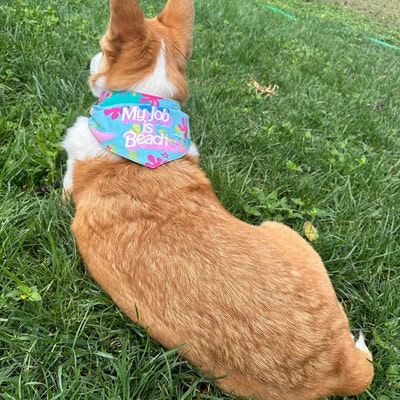 Donkey Kong and Diddy Collection Svg Png Jpg Bundle, Banana, Barrel ...