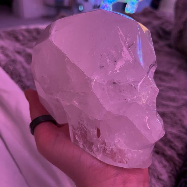Skullis Crystal Skull, Five Poisons 5.2 Carnelian Carved Crystal Skull ...