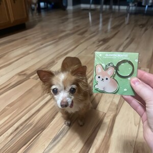 Yellow Duck Acrylic Bird Breed Keychain Cartoon Kawaii Exotic Pet Art ...