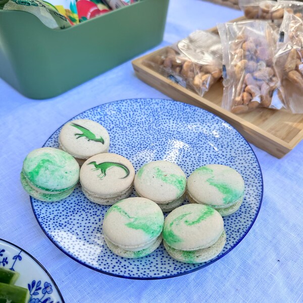 Dinosaur French Macaron Set: Jurassic Party Favors (12 Pack) - Etsy