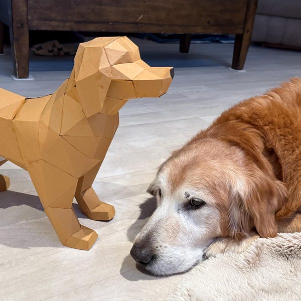 T Rex Paper Model , Rex Paper Model ,papercraft , DIY , Low Poly , Rex ...