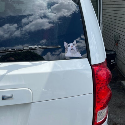 Scaredy Cat Sticker, Cat Sticker, Cat, Kitty, Cat Gift, Kitty Gift ...