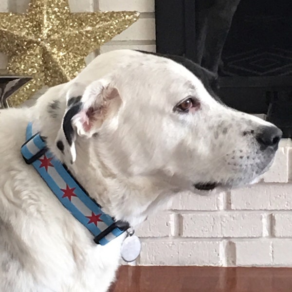 Chicago Flag Dog Collar - Wide Large - Etsy