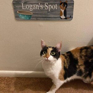 Personalized Cat Name Sign, Cat House Aluminum Door Sign, Gift for Cat ...