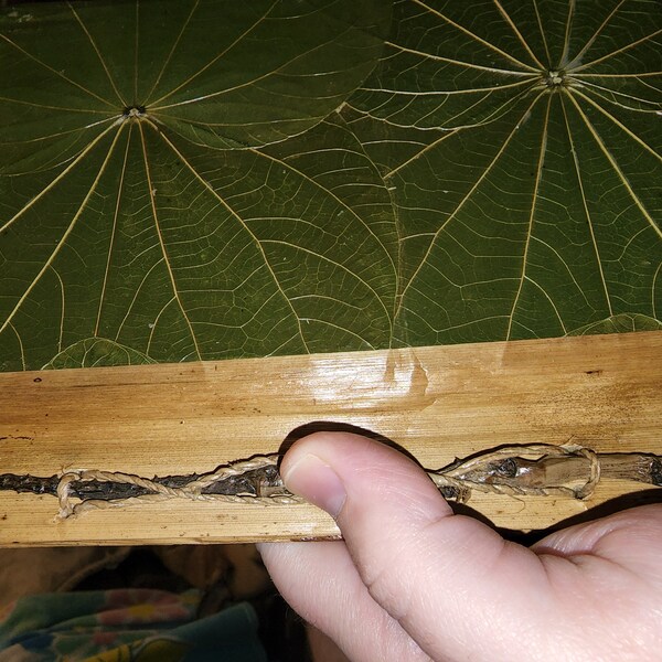 A3 Natural Leaf Handcrafted Album, Forest Wedding Guestbook Plant Cover ...